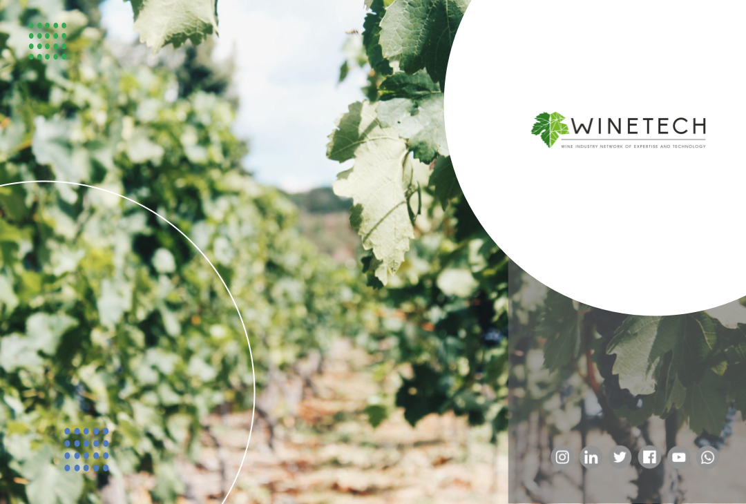 Winetech automated solution in research management | Opennetworks